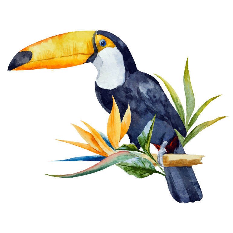 Le Toucan - Restaurant Carcans